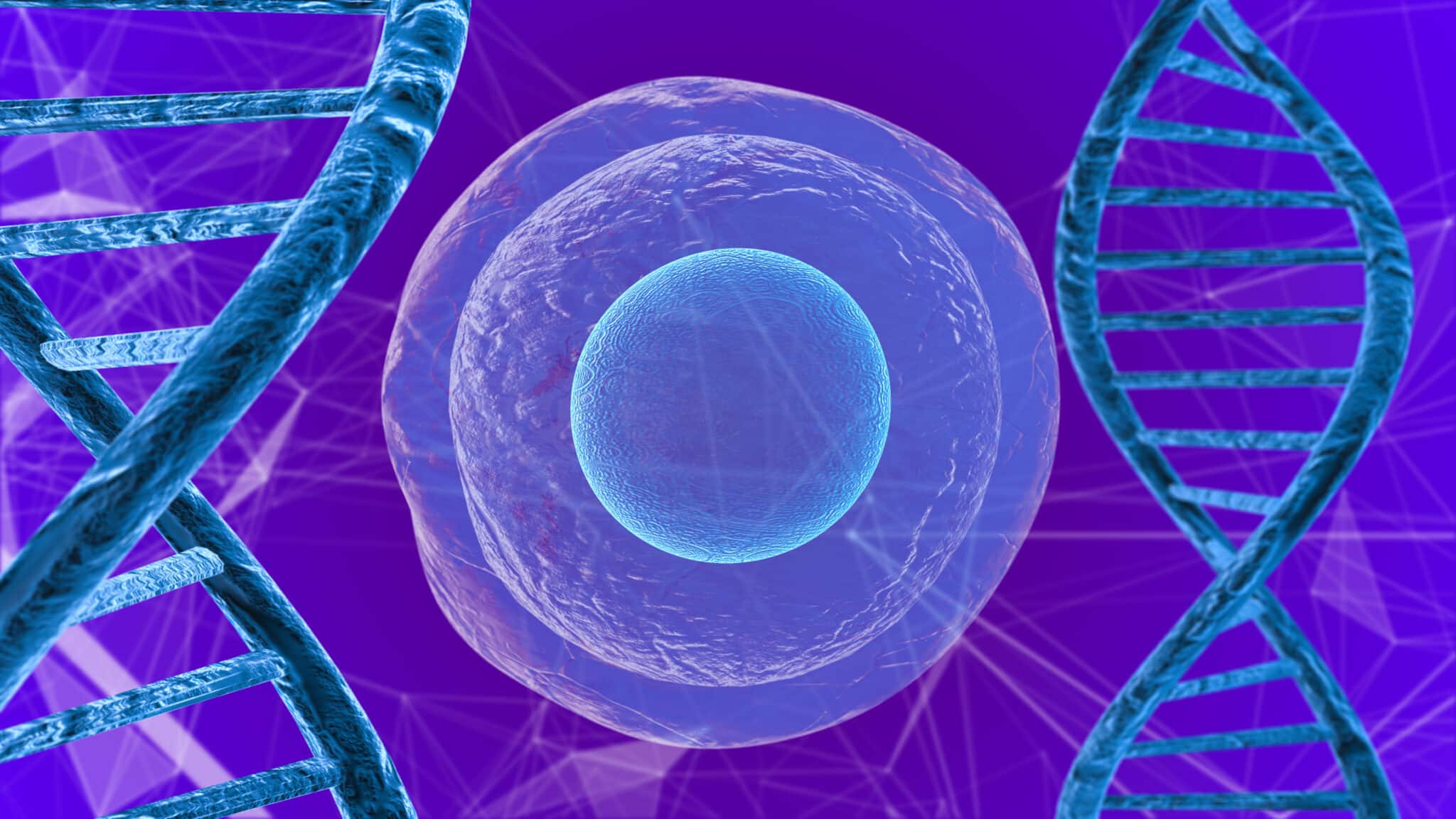 Stem Cells & Regenerative Medicine: How Close Are We to Reversing Aging ...