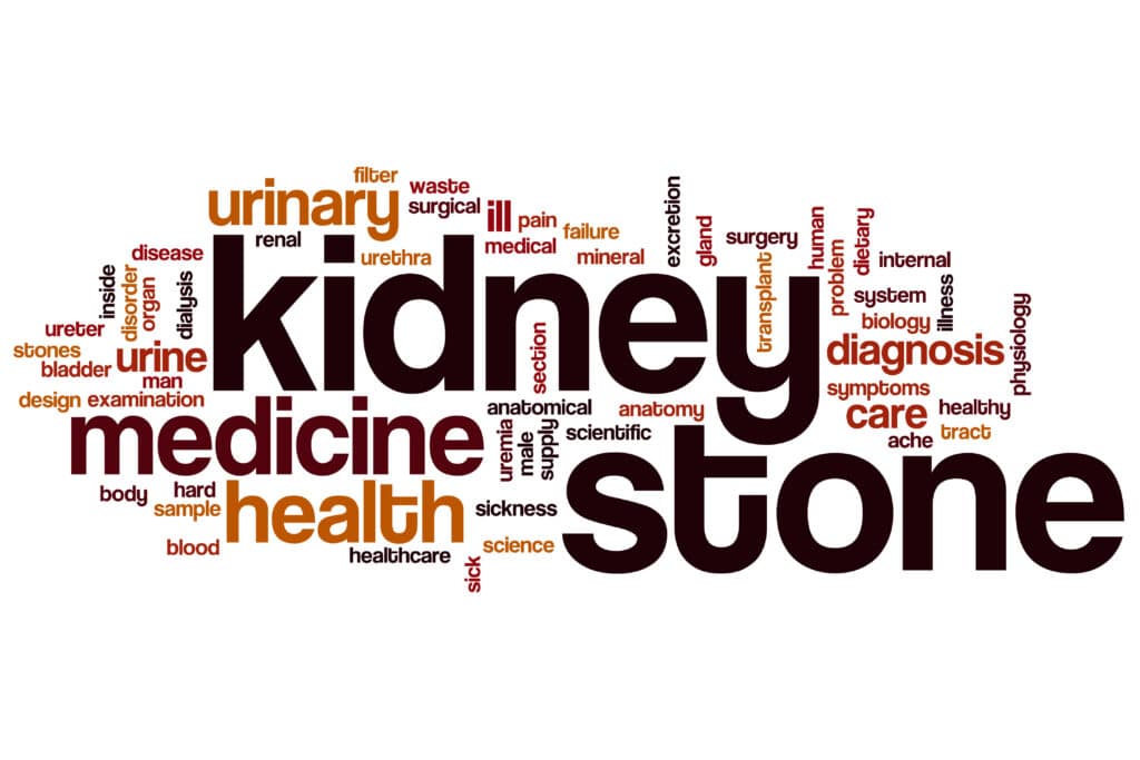 Added Sugars May Be Increasing Your Risk Of Kidney Stones - WorldHealth.net