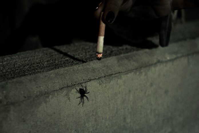 States Where Smokers are Quitting the Most and Where Smoking Remains ...